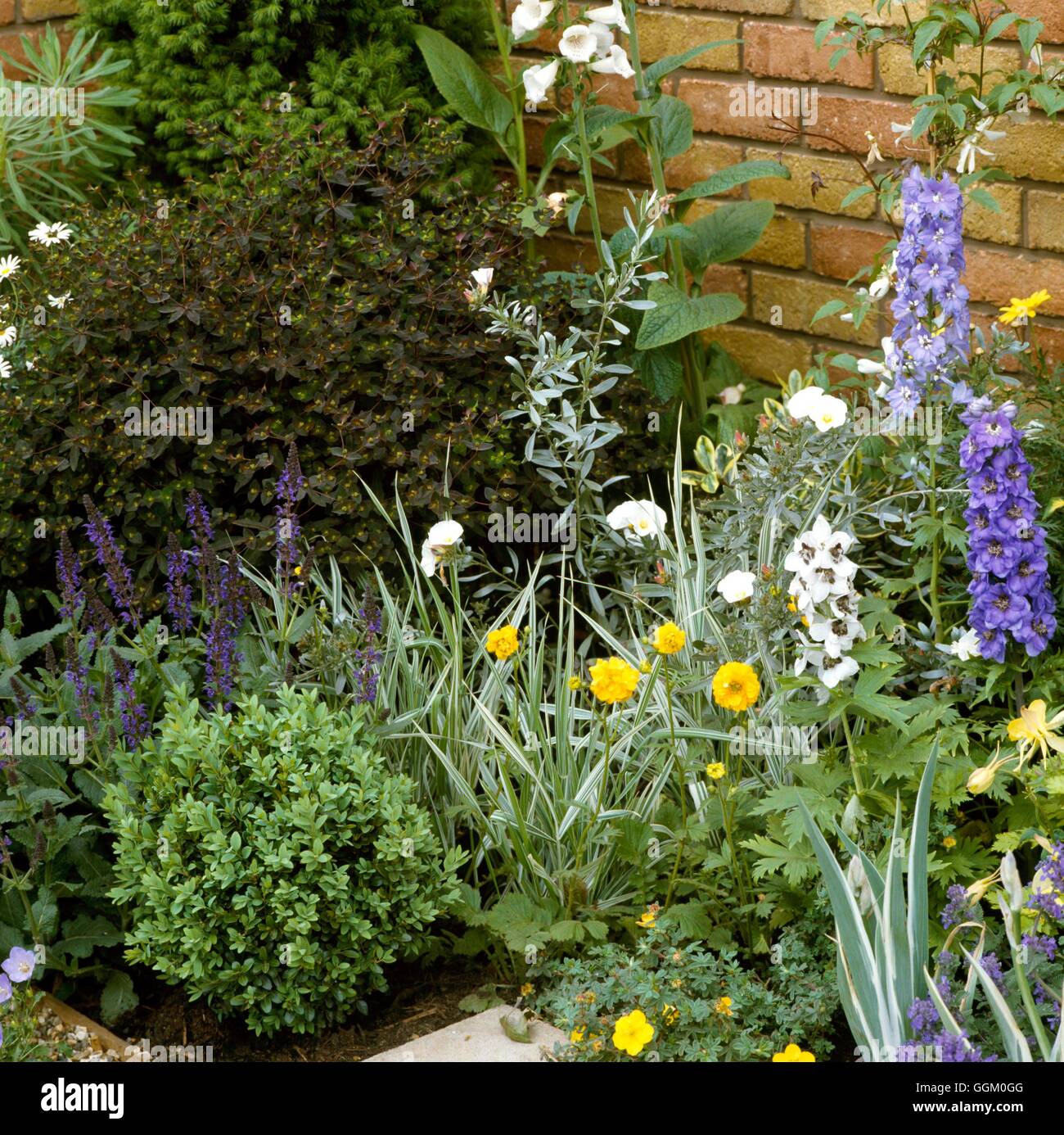Buxus border hi-res stock photography and images - Alamy
