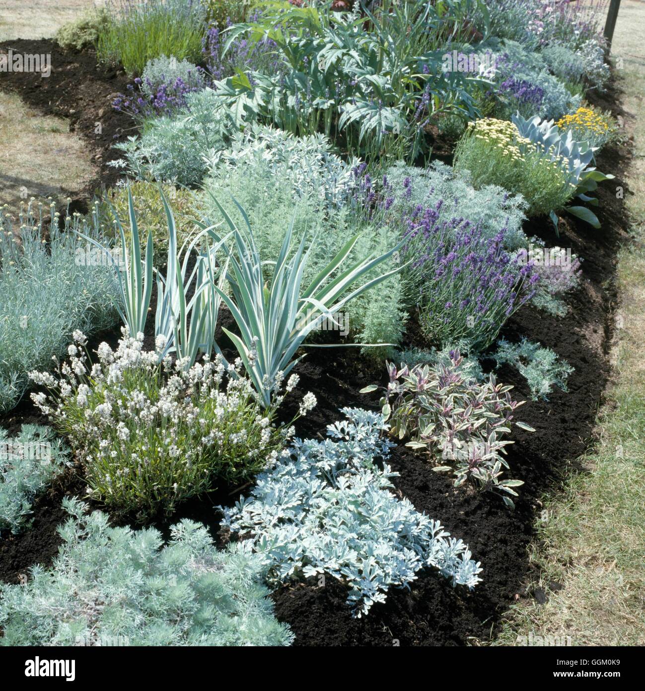 Silver border hi-res stock photography and images - Alamy