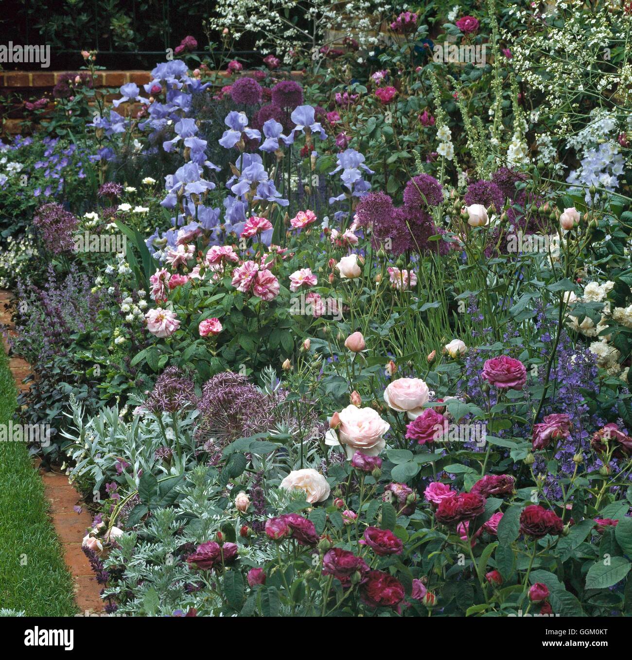 One Colour Border - Purple - (Please credit: Photos Horticultural/ designer Lady Xa Tollemache ...