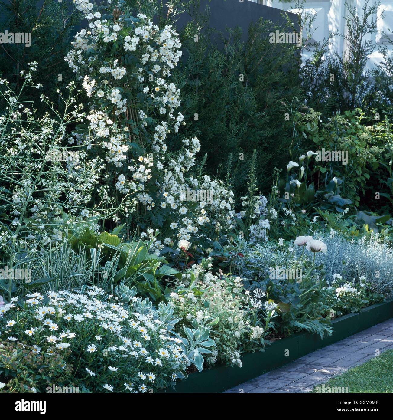 Silver border hi-res stock photography and images - Alamy