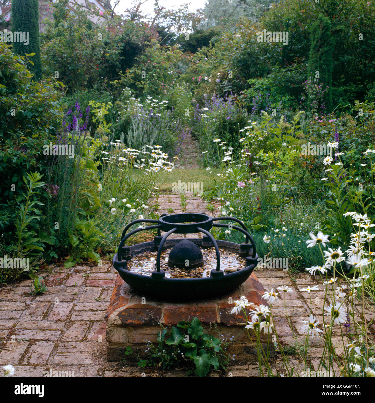 Pig trough hi-res stock photography and images - Alamy