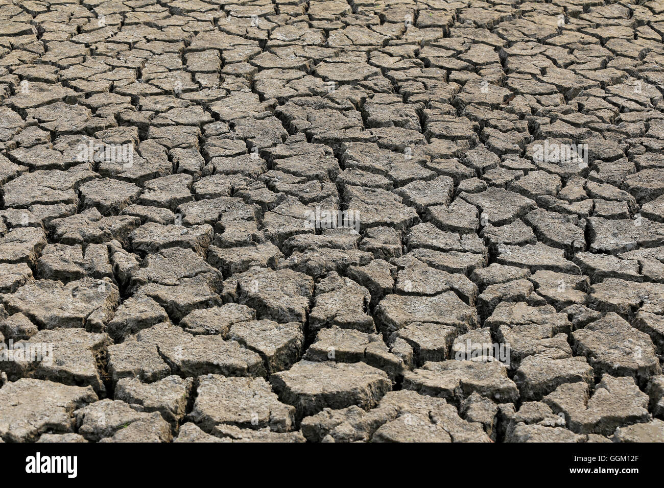 Soil texture hi-res stock photography and images - Alamy