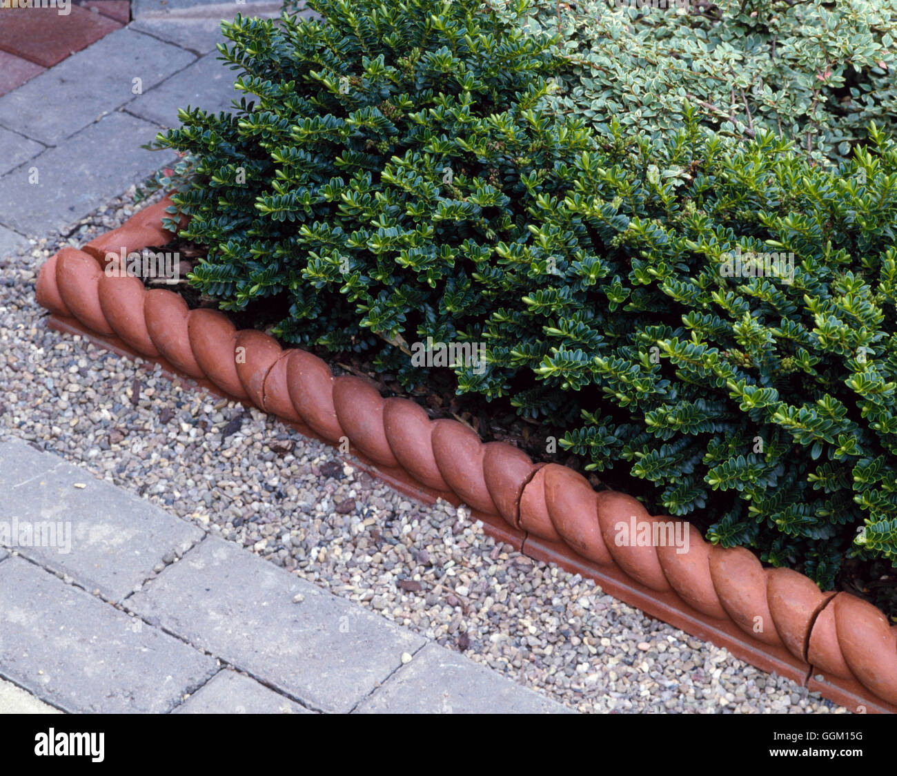 Rope edging hi-res stock photography and images - Alamy