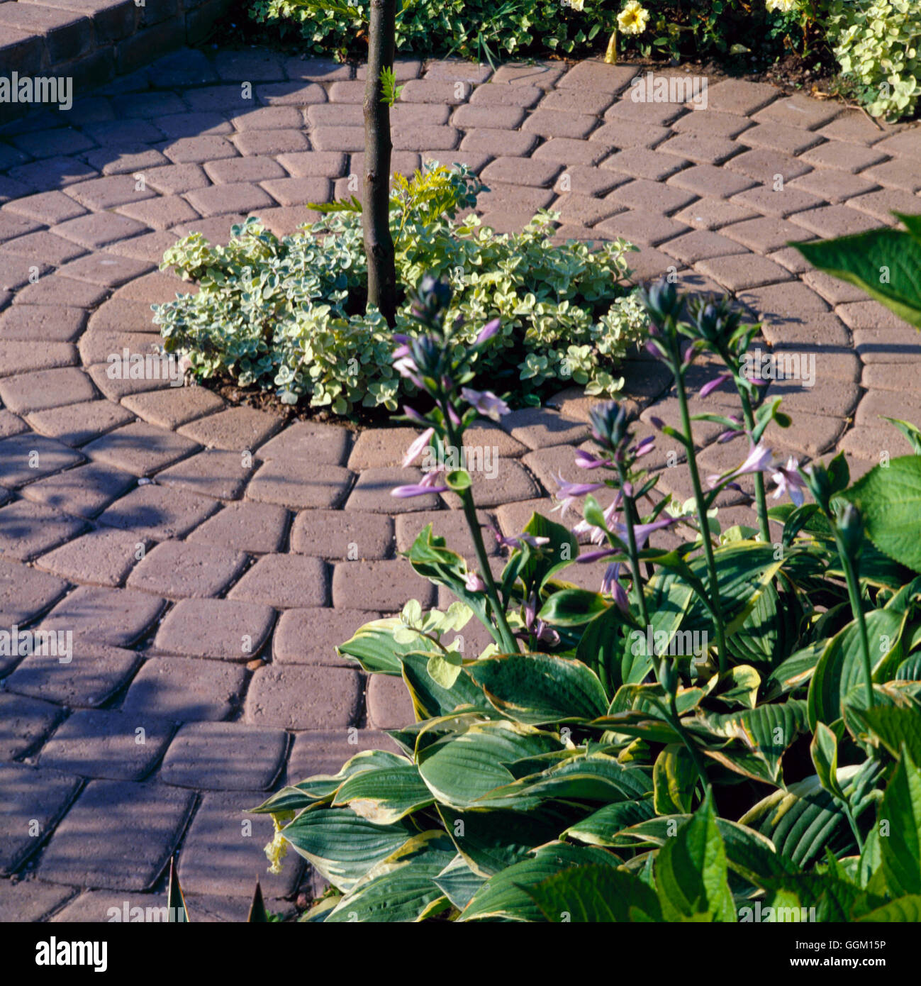 Paving circle hi-res stock photography and images - Alamy
