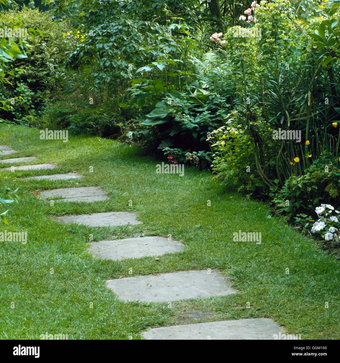 Path - of stepping-stones PAP046471 Stock Photo - Alamy