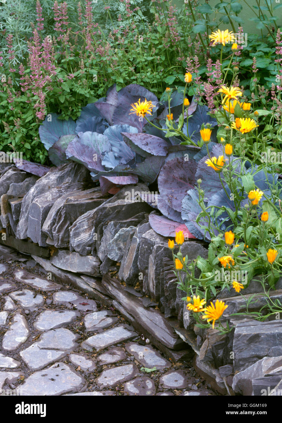 Path - and edging of slate. - (Please credit: Photos Hort/Paul Stone ...