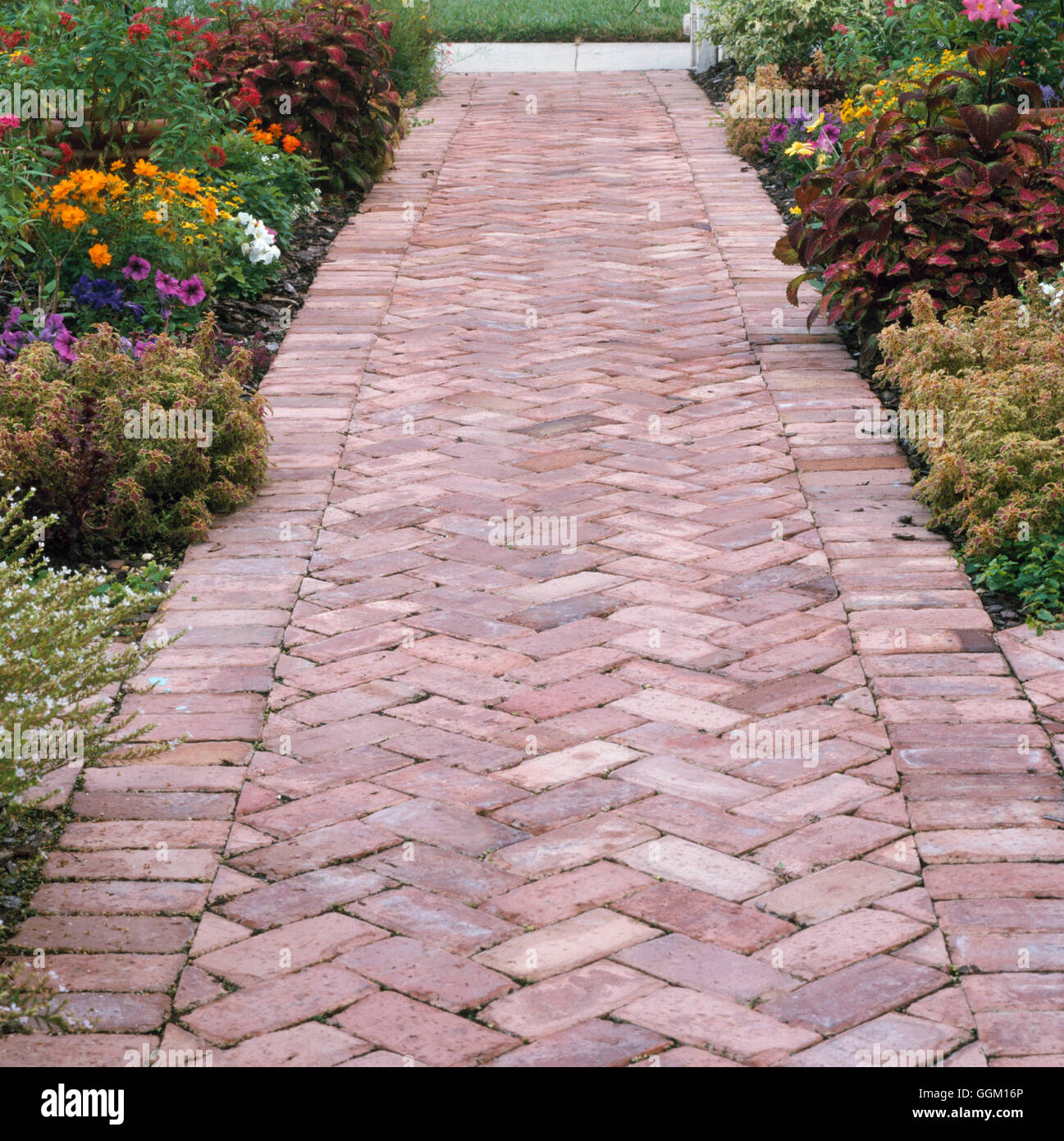 Brickpath hi-res stock photography and images - Alamy