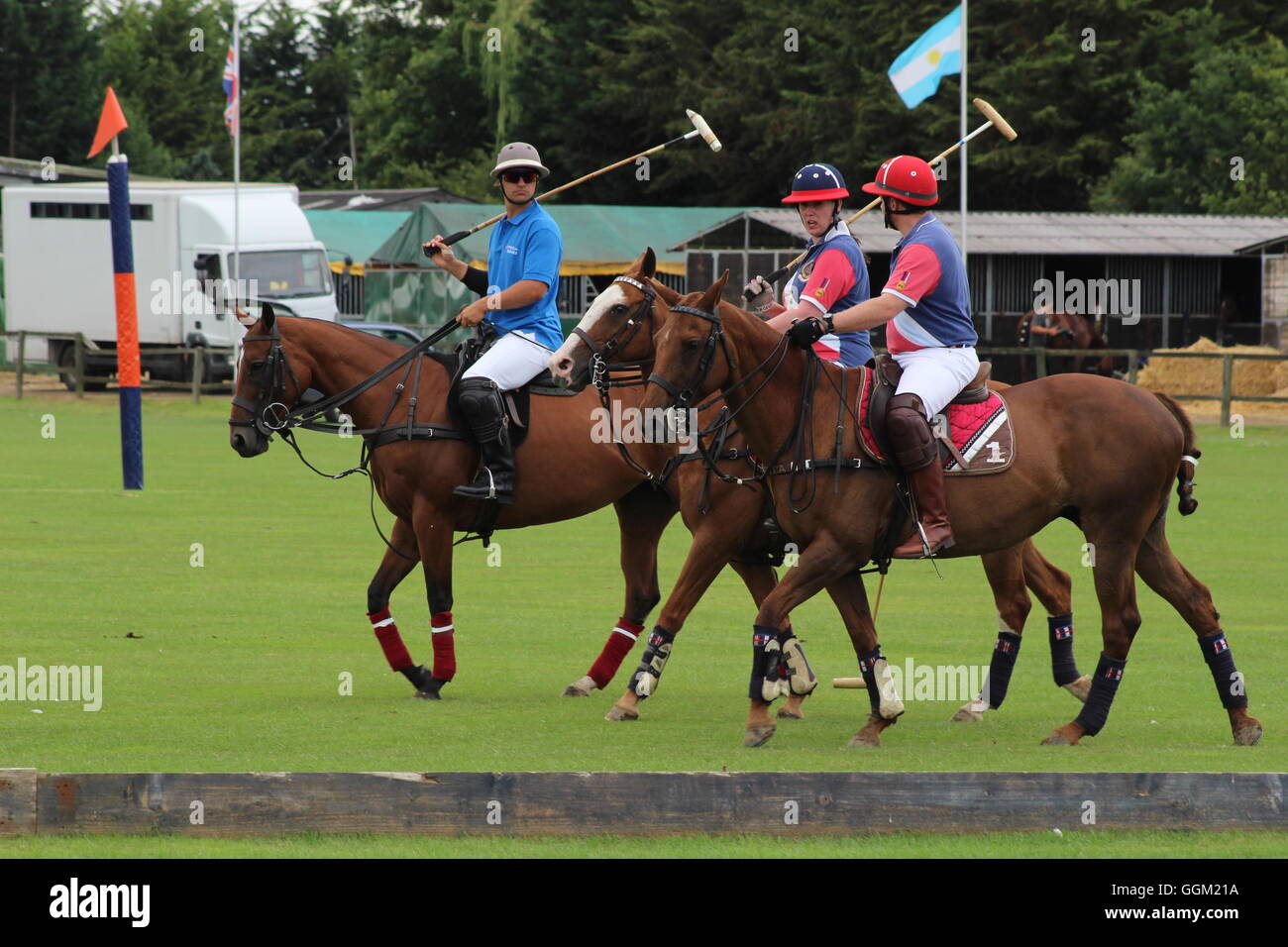 The Royal Windsor Race Course - Pictures Of Horses Stock Photo - Alamy