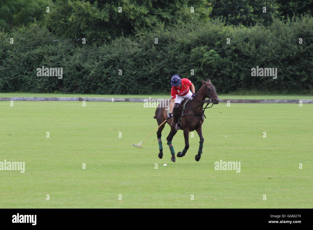 The Royal Windsor Race Course - Pictures Of Horses Stock Photo - Alamy