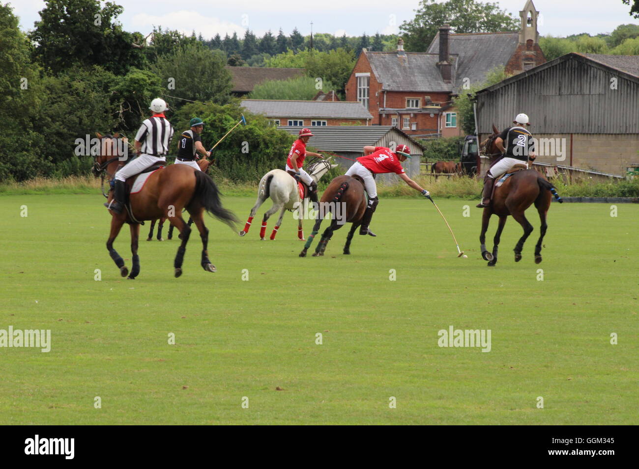 The Royal Windsor Race Course - Pictures Of Horses Stock Photo - Alamy