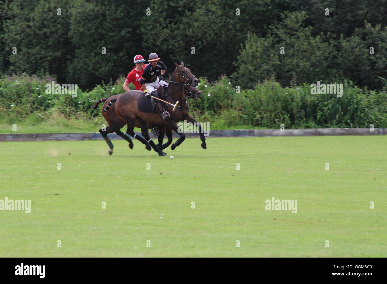 The Royal Windsor Race Course - Pictures Of Horses Stock Photo - Alamy