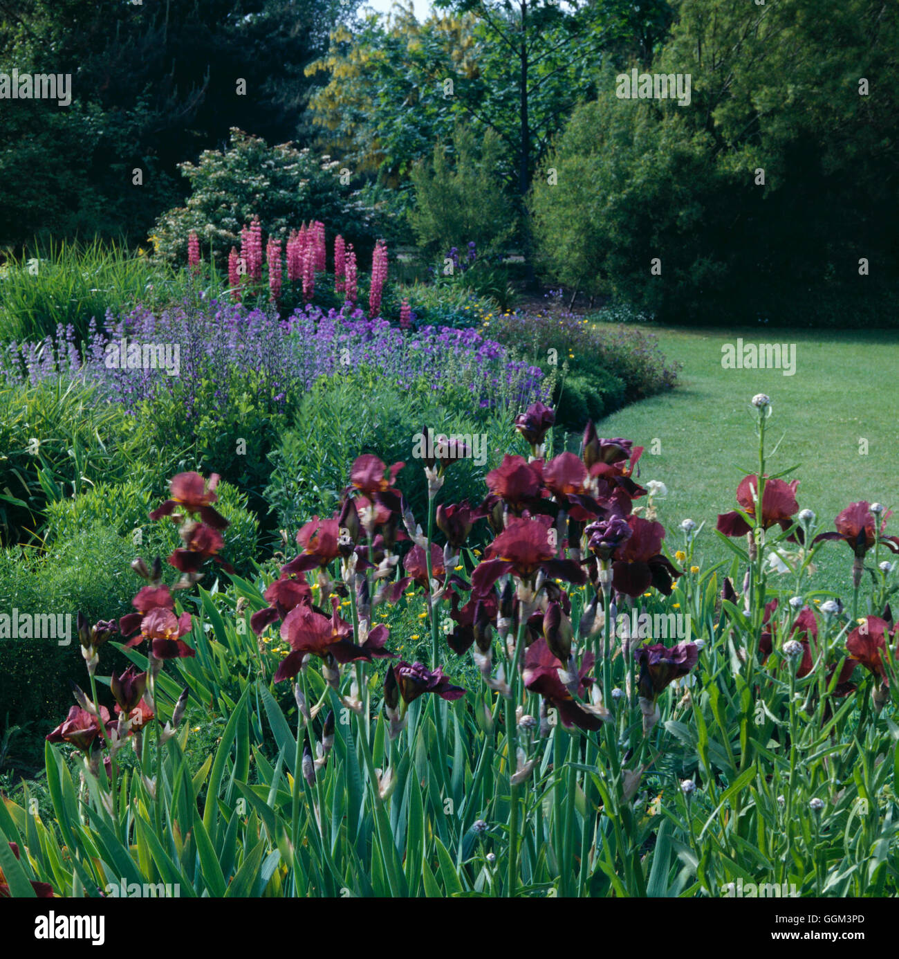 Perennial border hi-res stock photography and images - Alamy