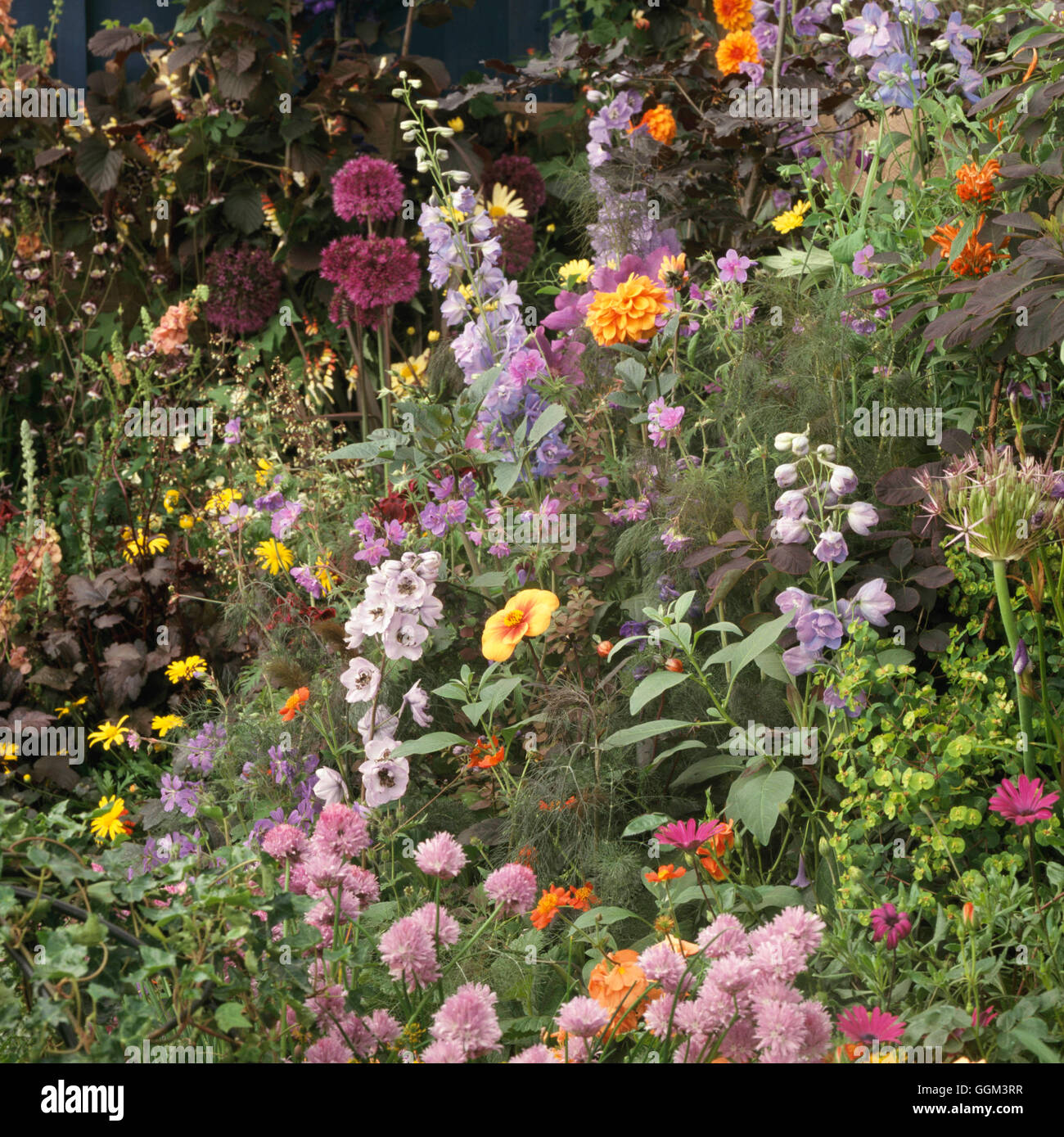 Perennials border hi-res stock photography and images - Alamy