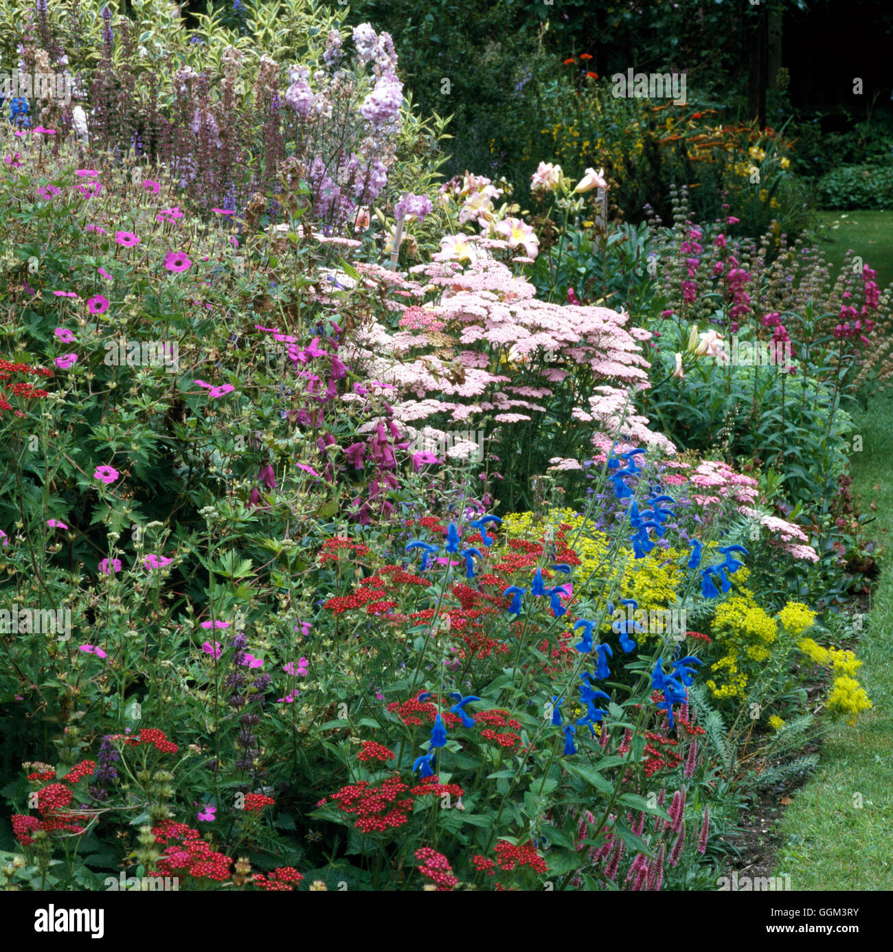 Perennial Border - (Please credit: Photos Horticultural/ Garden House ...