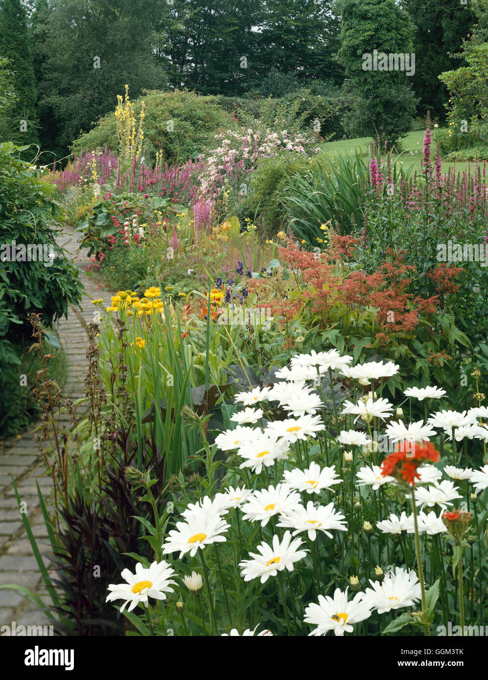 Garden perennial border hi-res stock photography and images - Alamy