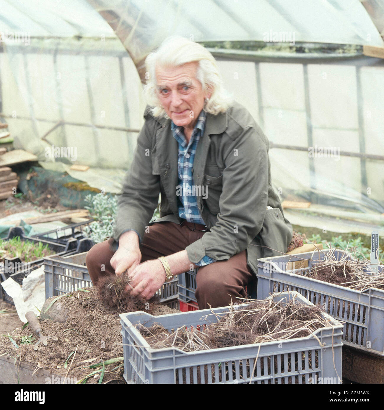 Allan Bloom Biography