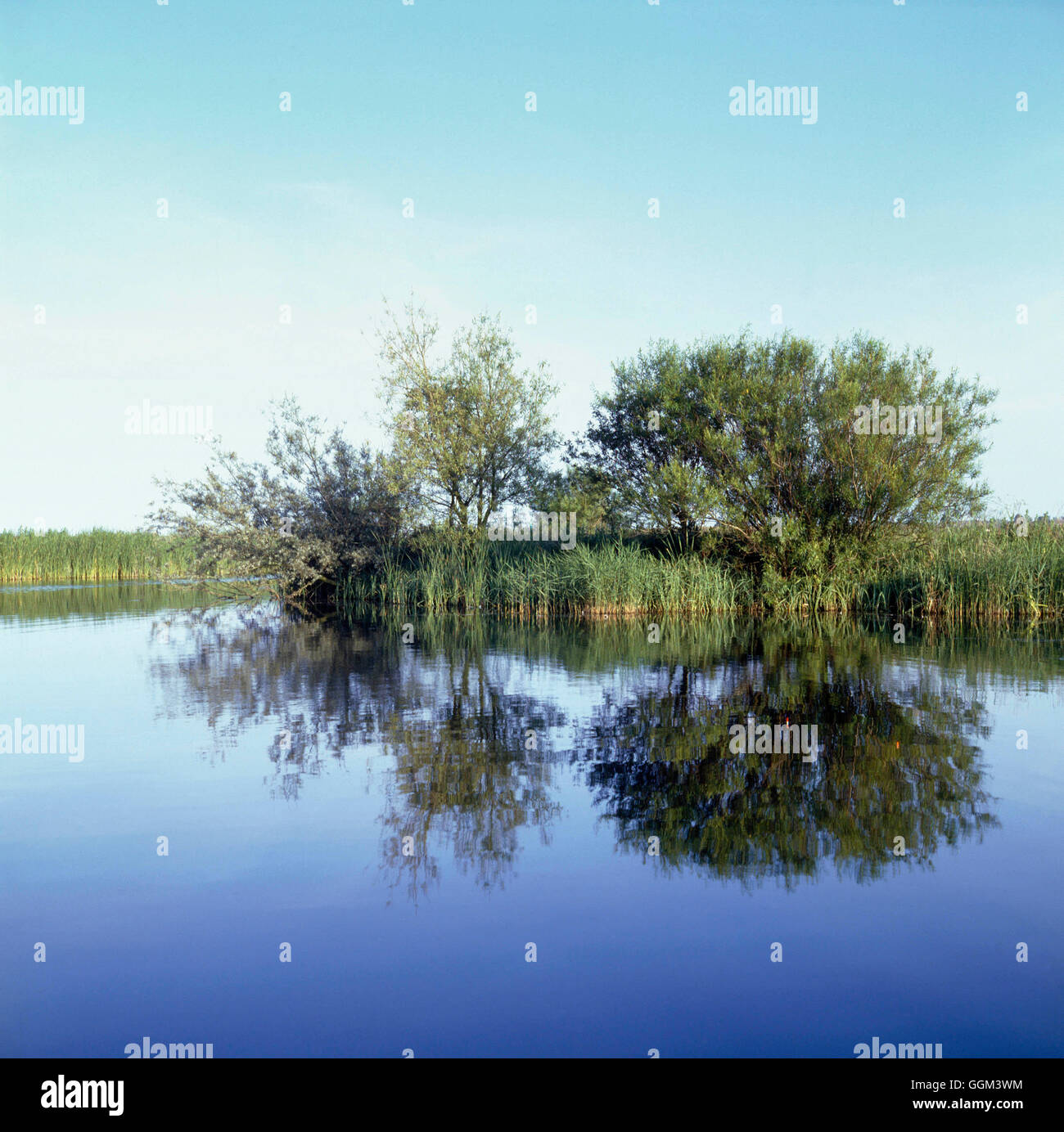 Marginal ponds hi-res stock photography and images - Alamy