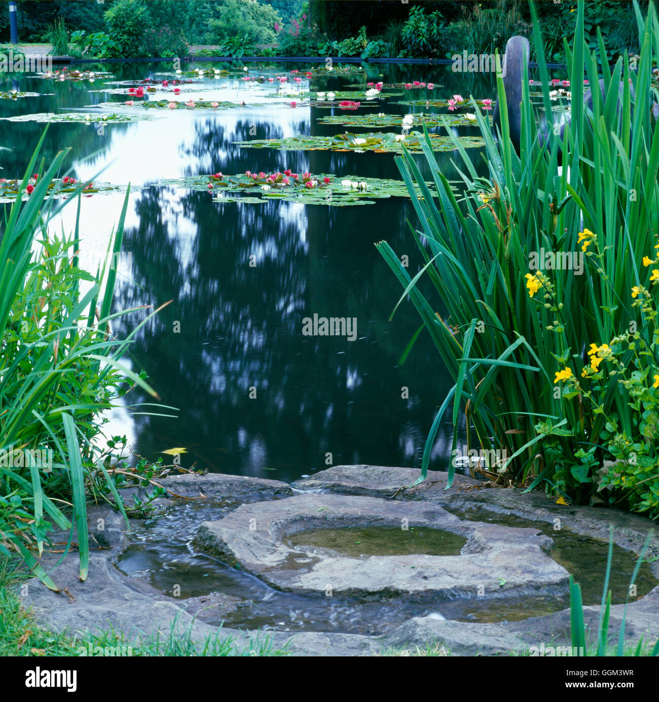 Pol084105 hi-res stock photography and images - Alamy