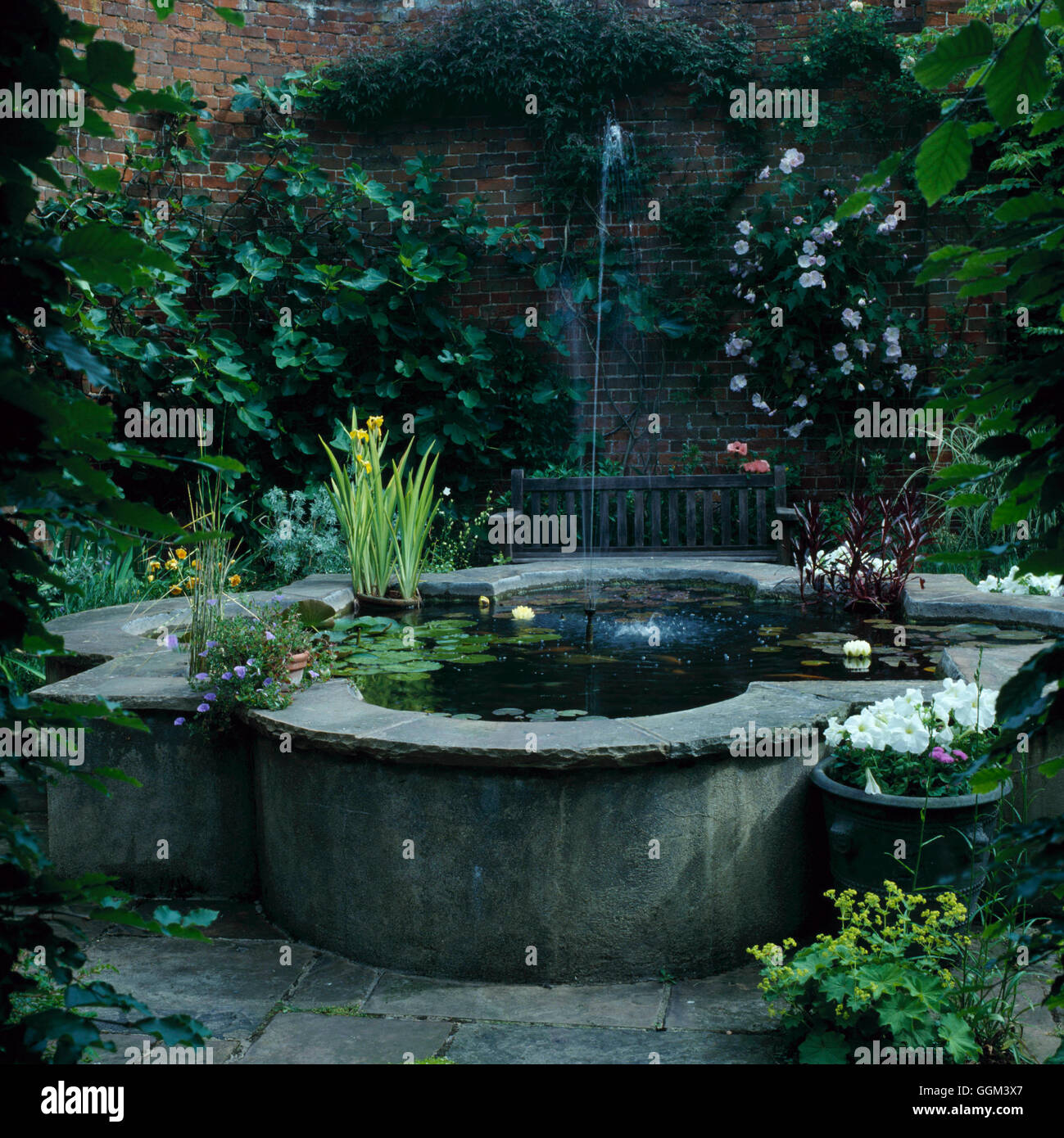 Waterfeature hi-res stock photography and images - Alamy