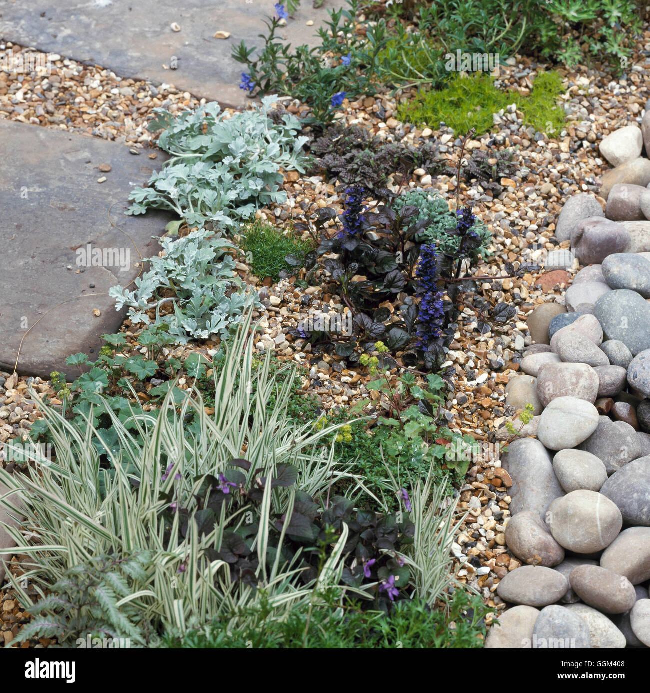 Chelsea fs hi-res stock photography and images - Alamy