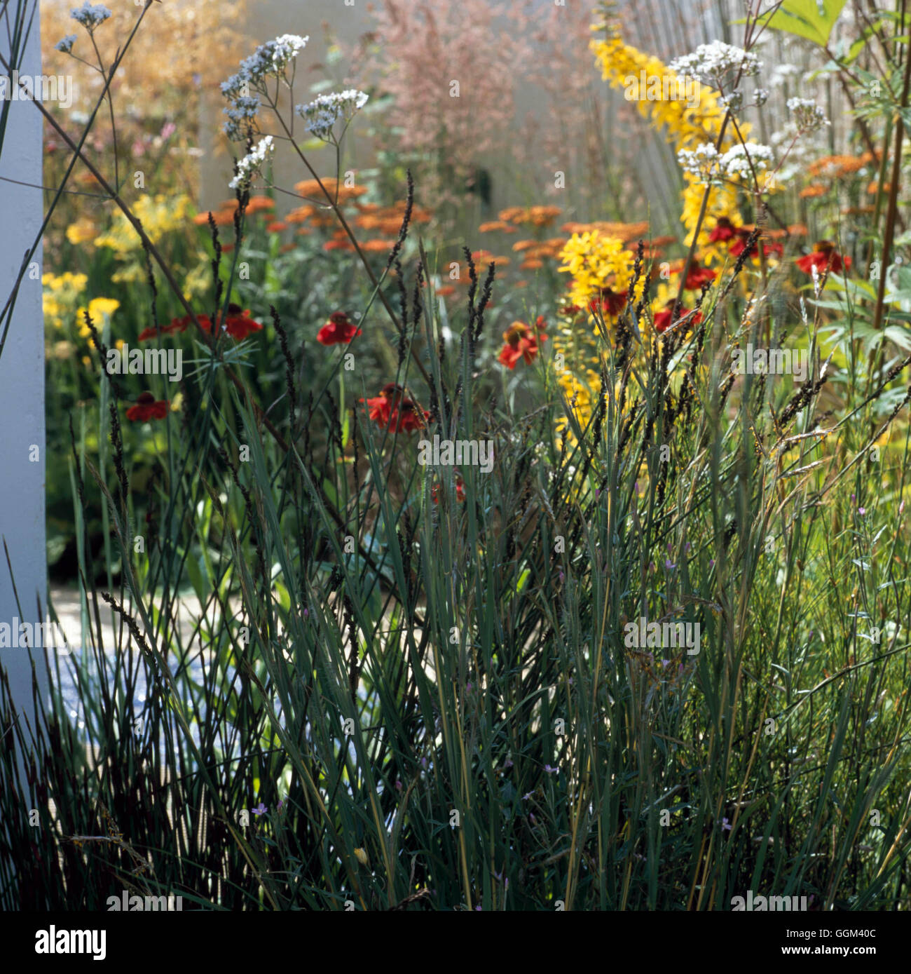 Prairie style planting hi-res stock photography and images - Alamy