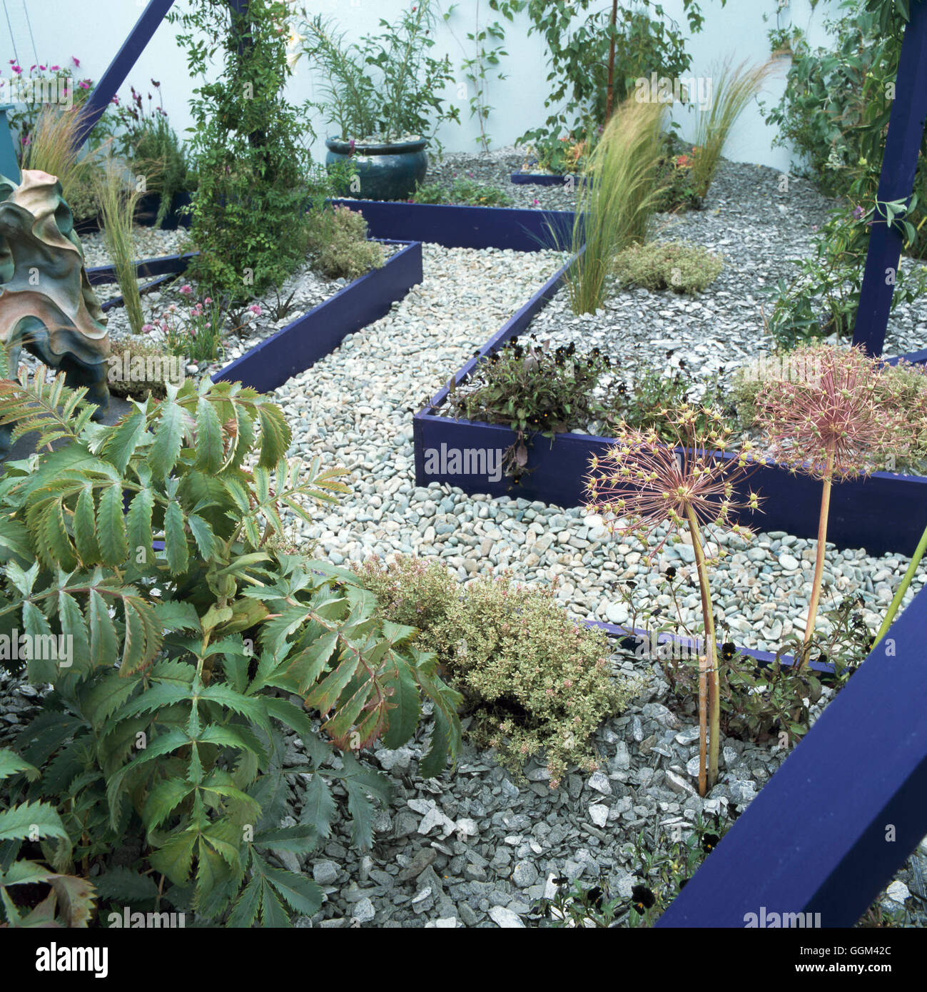 Raised Beds - with blue edging - (Please credit: Photos Hort/Gardens ...