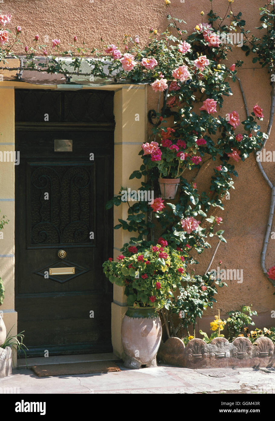 Roses front door hi-res stock photography and images - Alamy