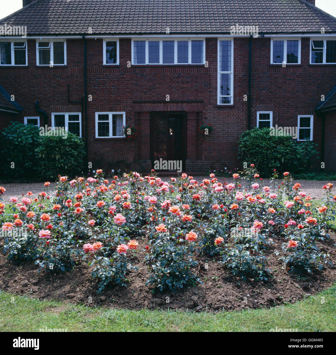 Rose borders hi-res stock photography and images - Alamy