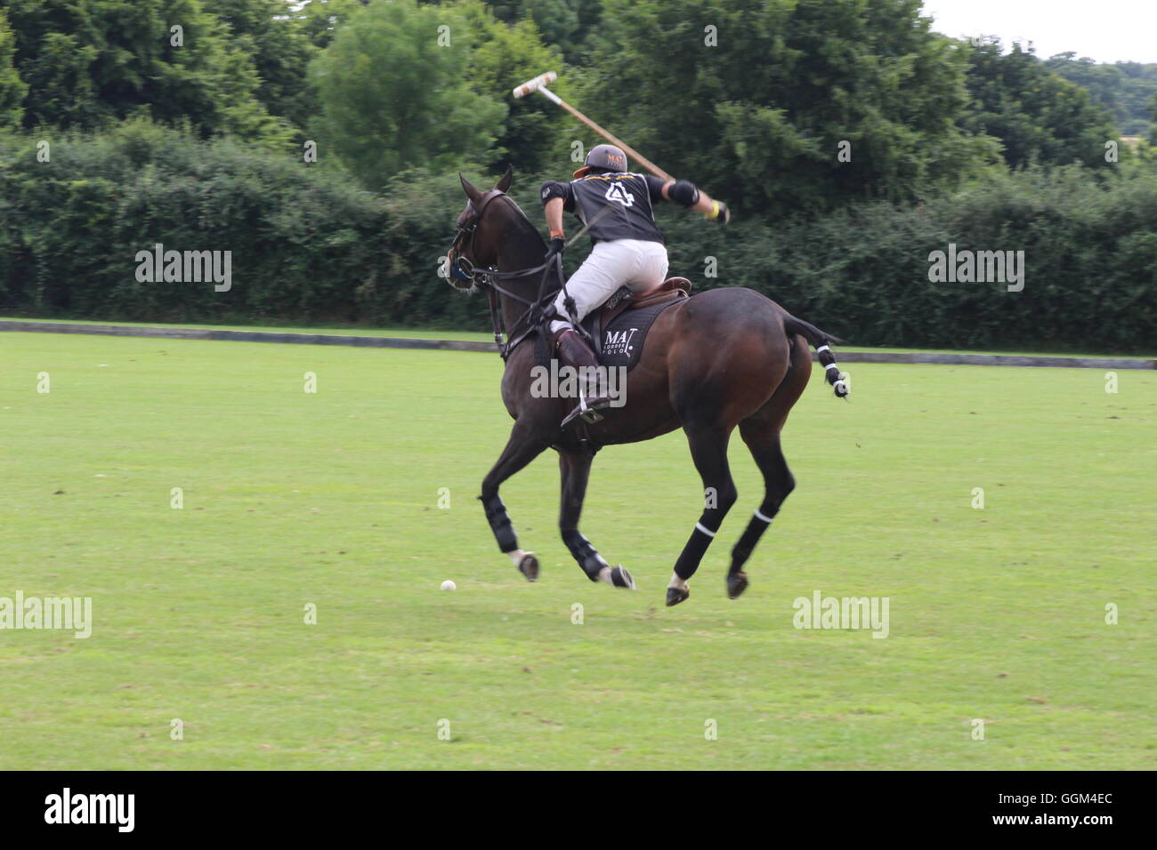 The Royal Windsor Race Course - Pictures Of Horses Stock Photo - Alamy
