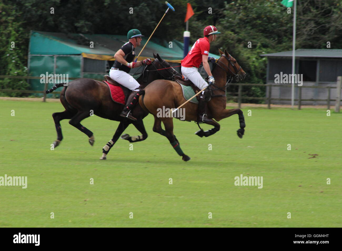 The Royal Windsor Race Course - Pictures Of Horses Stock Photo - Alamy