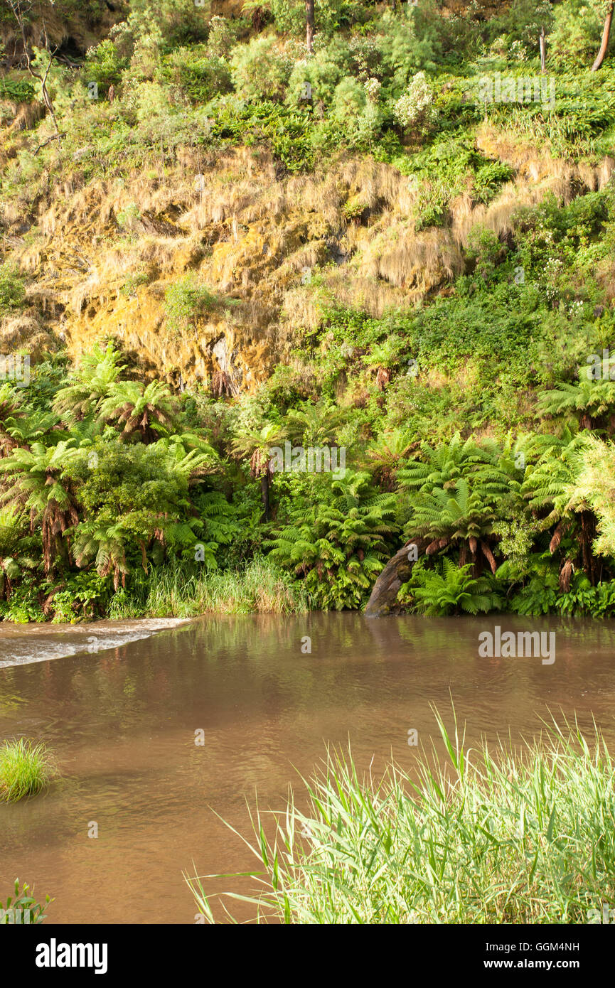 Howqua hills hi-res stock photography and images - Alamy