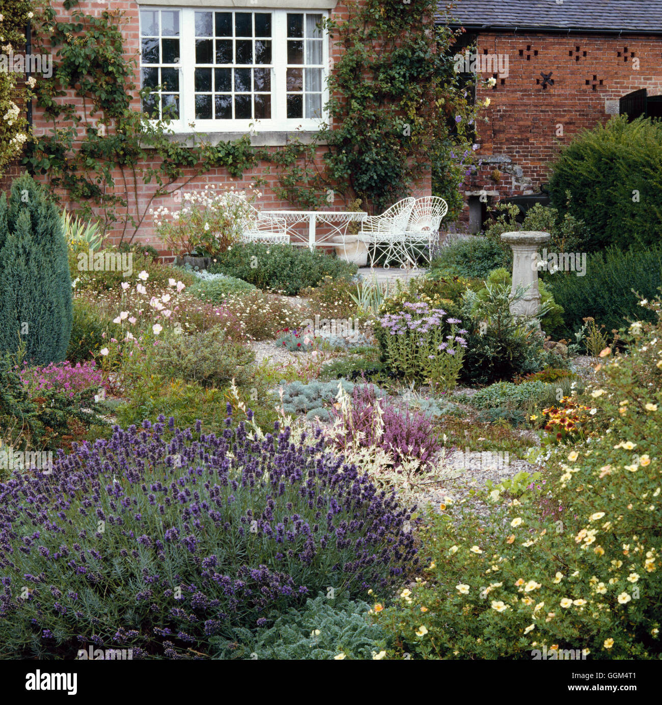 Scree Beds - with patio beyond. SCR025208 Stock Photo - Alamy
