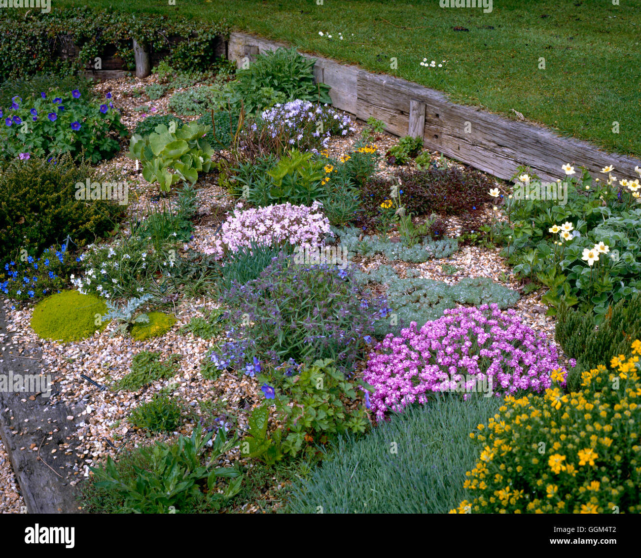 Scree Bed - (Please credit: Photos Horticultural/ Hault Farm Petham ...