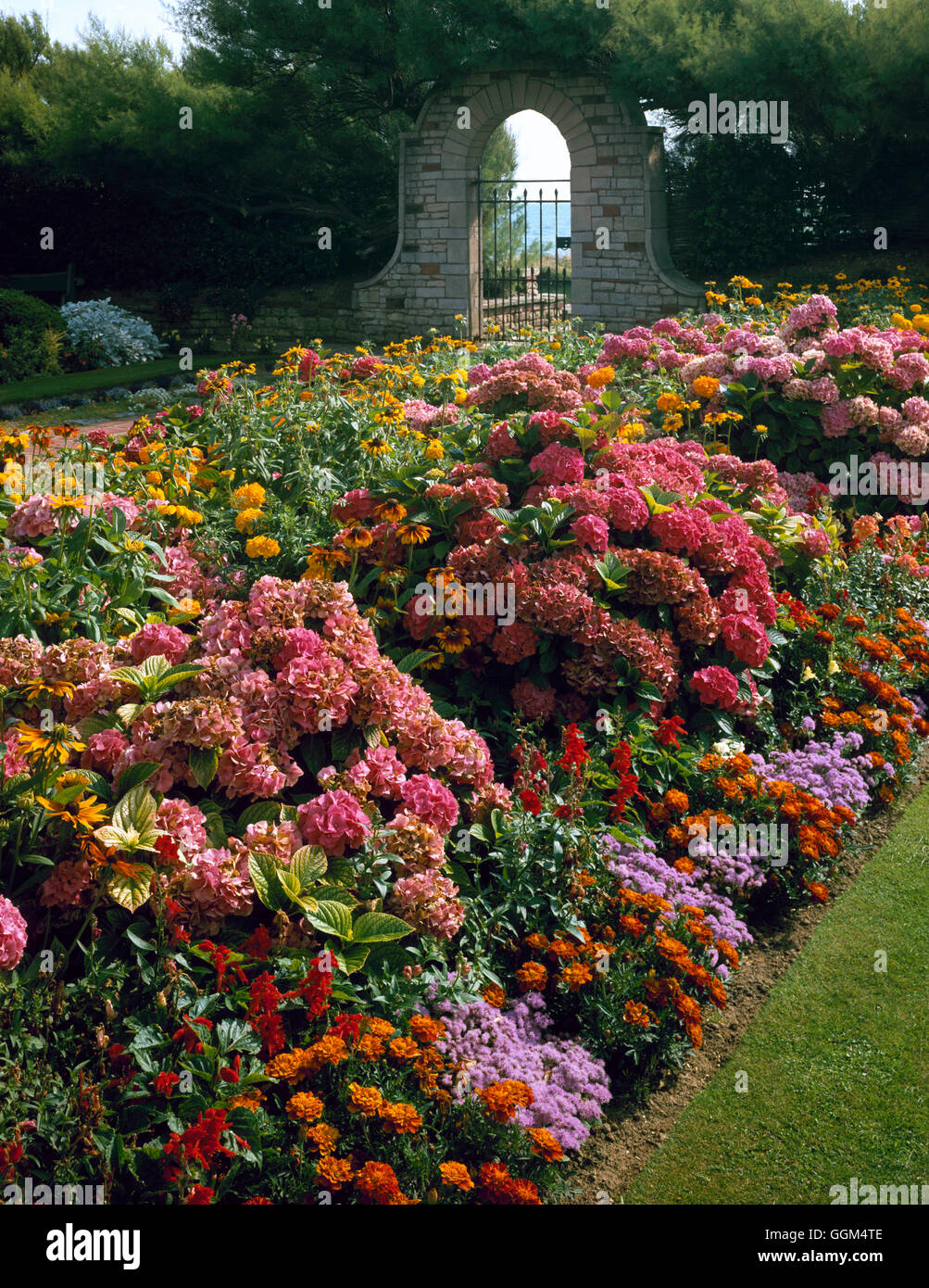 Seaside hedge hi-res stock photography and images - Alamy