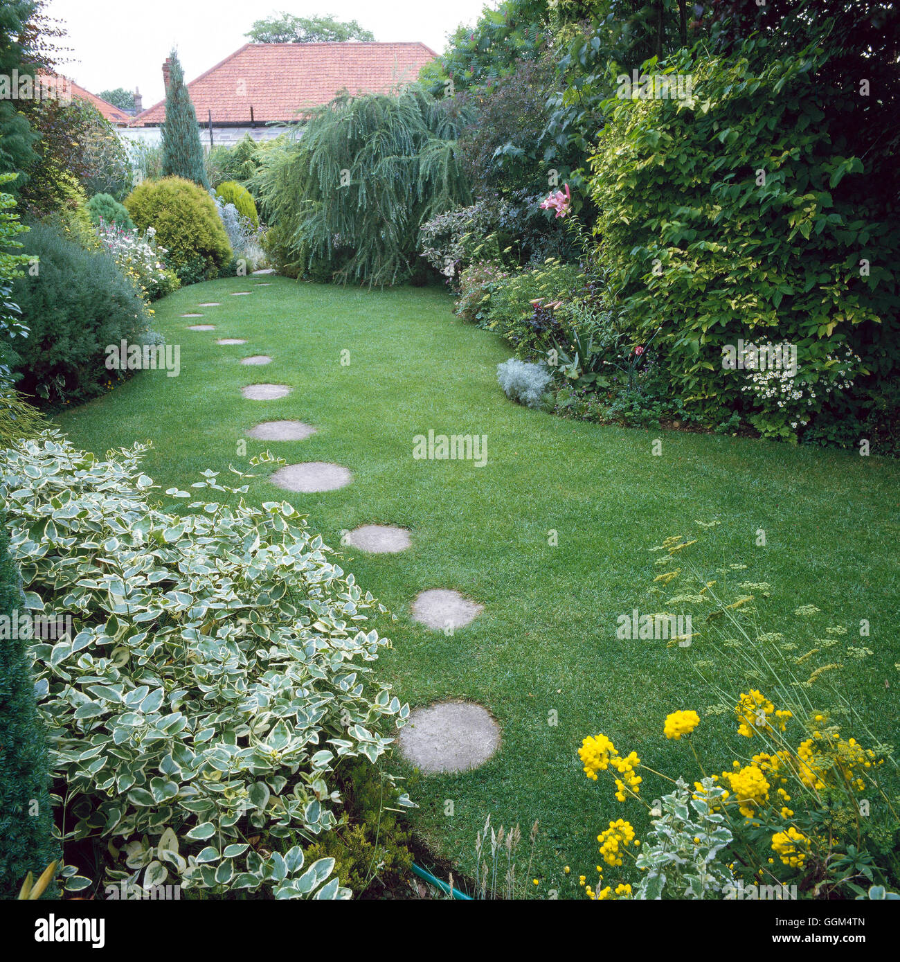 Shrub Garden SGB025480 Stock Photo - Alamy