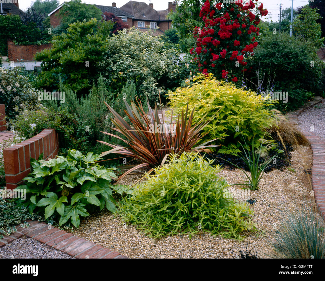 Gravel mulch hi-res stock photography and images - Alamy