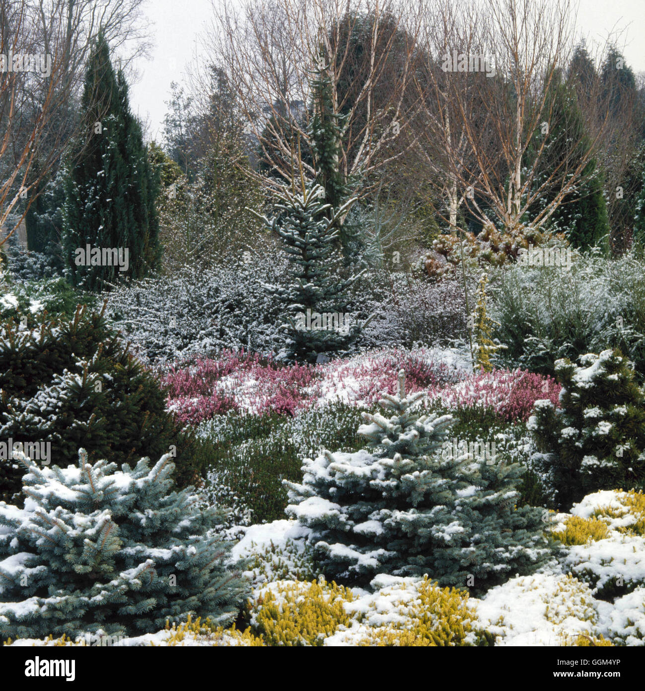 Ssf041284 hi-res stock photography and images - Alamy