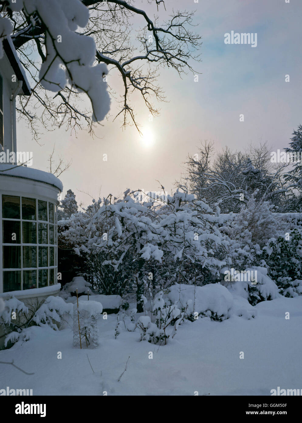 Snow Scene SSF081190 Stock Photo - Alamy