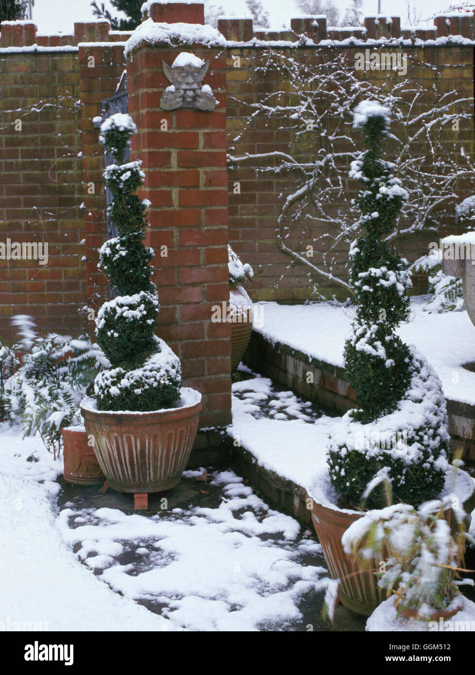 Snow Scene - with Topiary Trees SSF092908 Stock Photo - Alamy