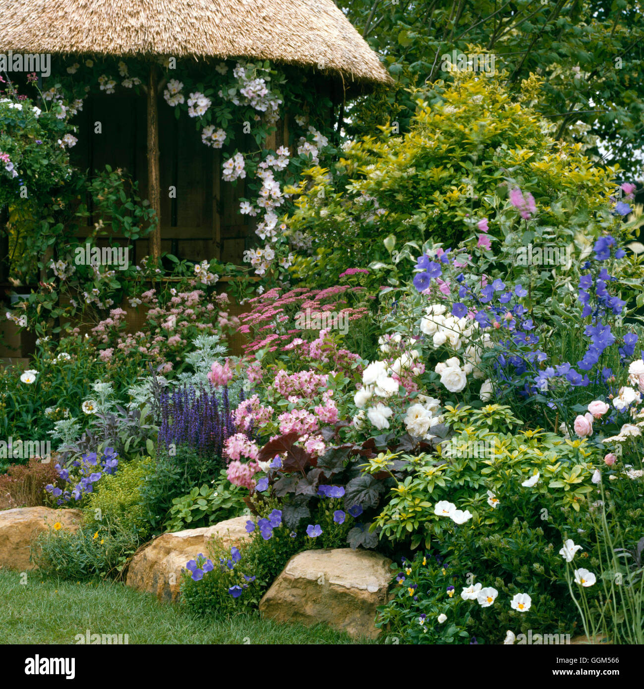 Summer House - with lush Summer planting - (Please Credit: Photos Hort ...