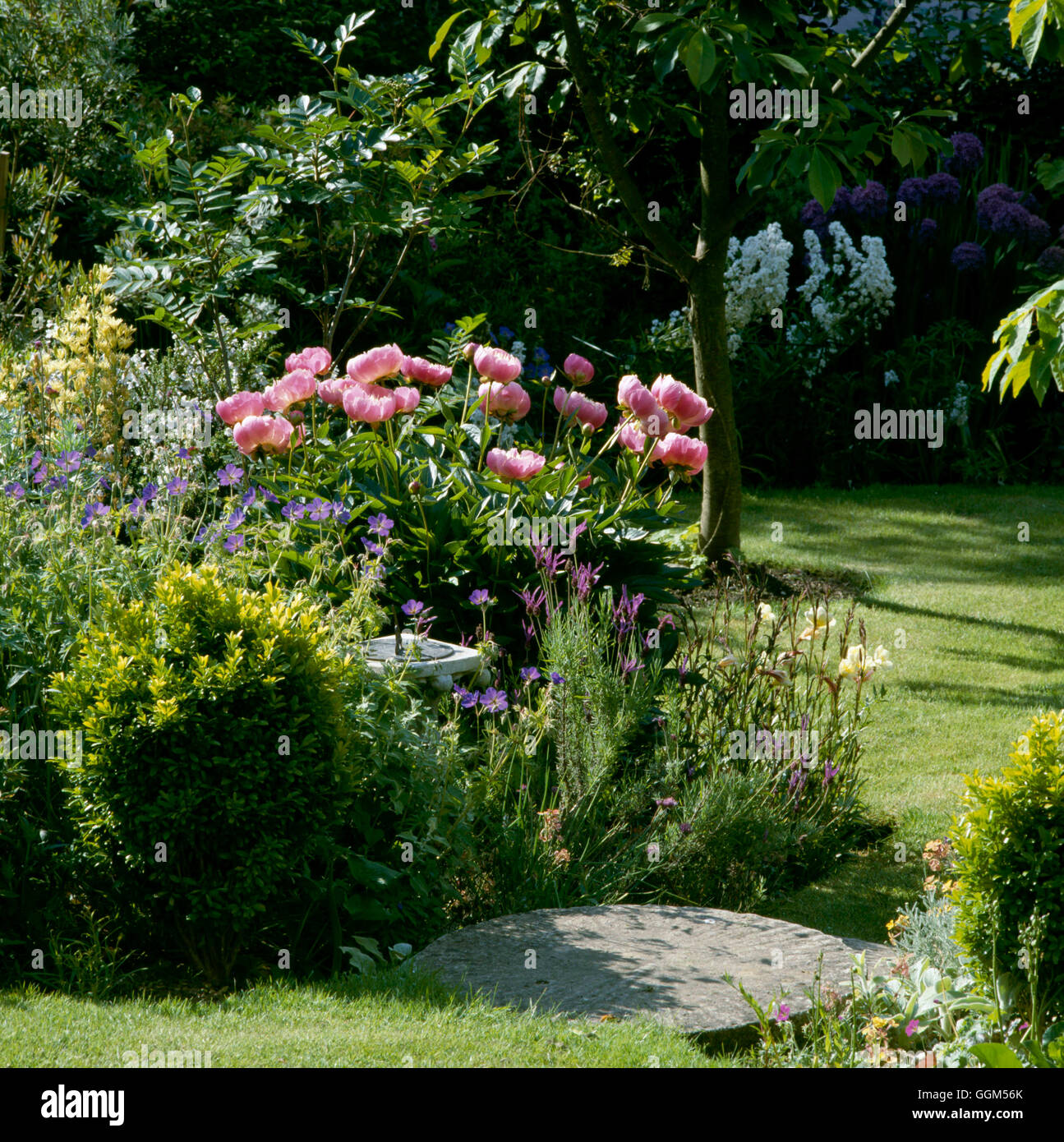 Steppingstoneborder hi-res stock photography and images - Alamy