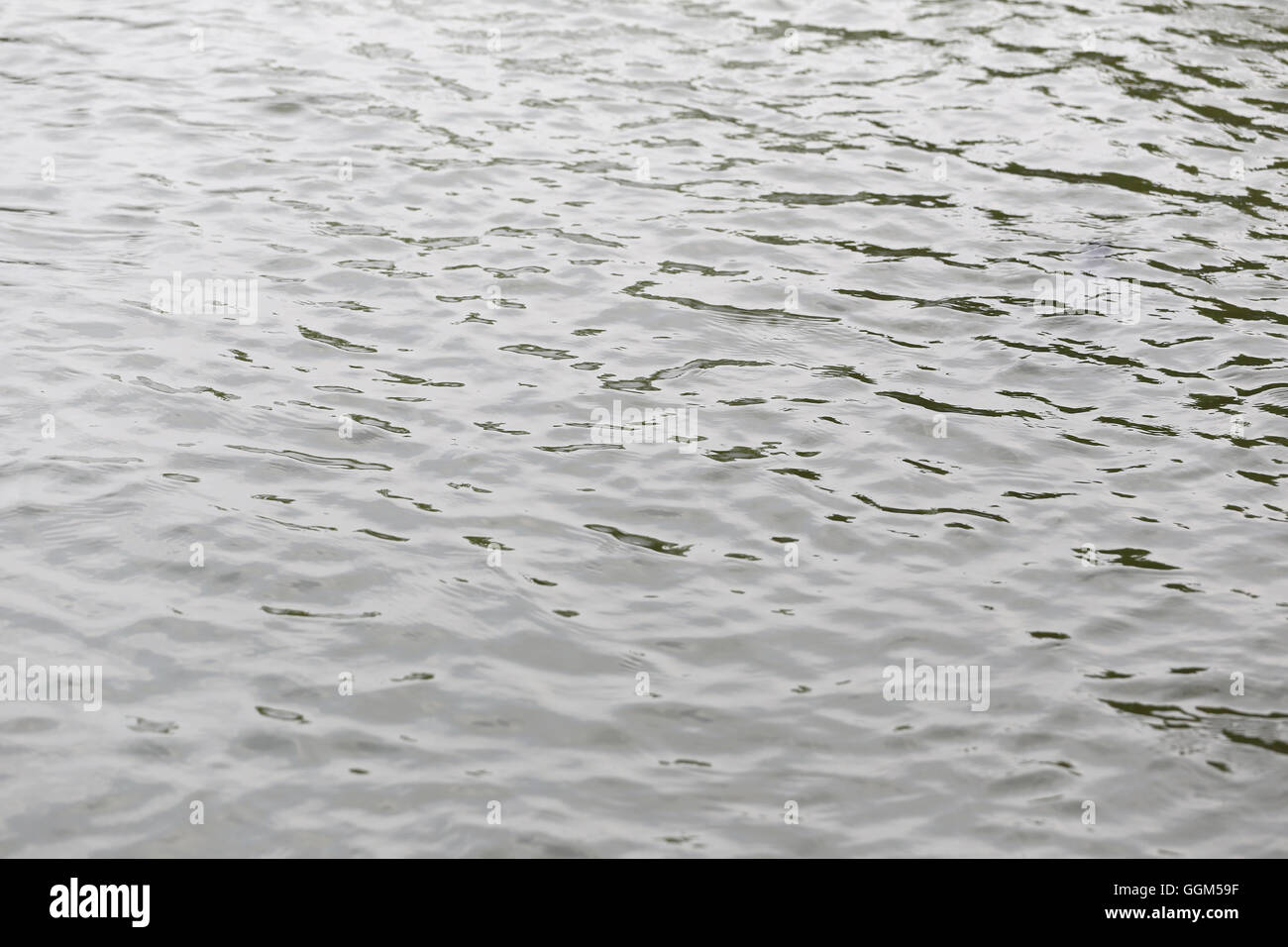 surface of the water and have ripple wave for background nature design ...