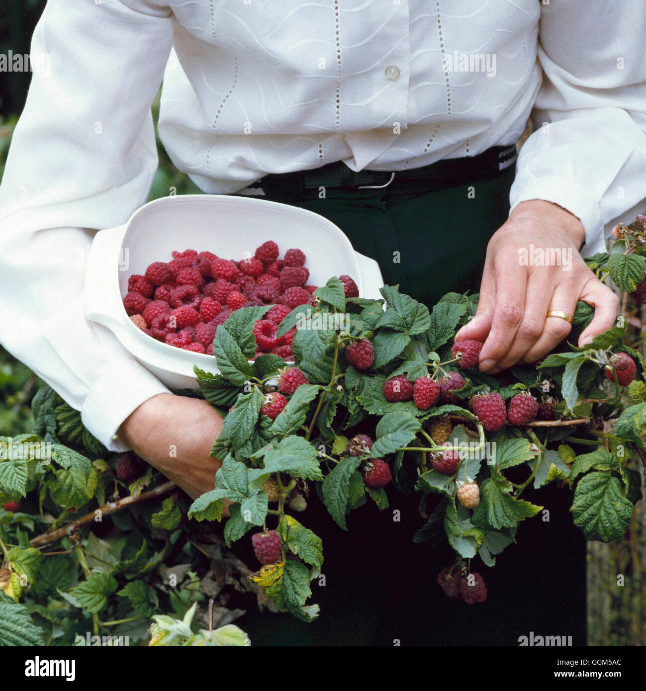 Raspberries fruit hi-res stock photography and images - Alamy