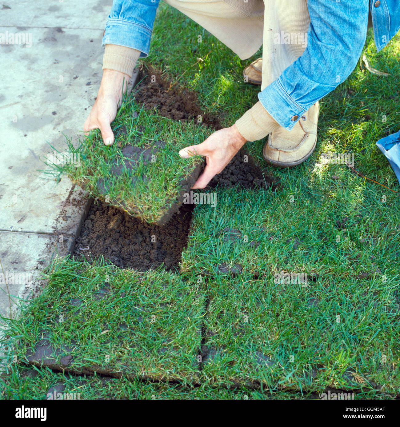 Lawn Care: - Laying Turf TAS024604 Stock Photo - Alamy