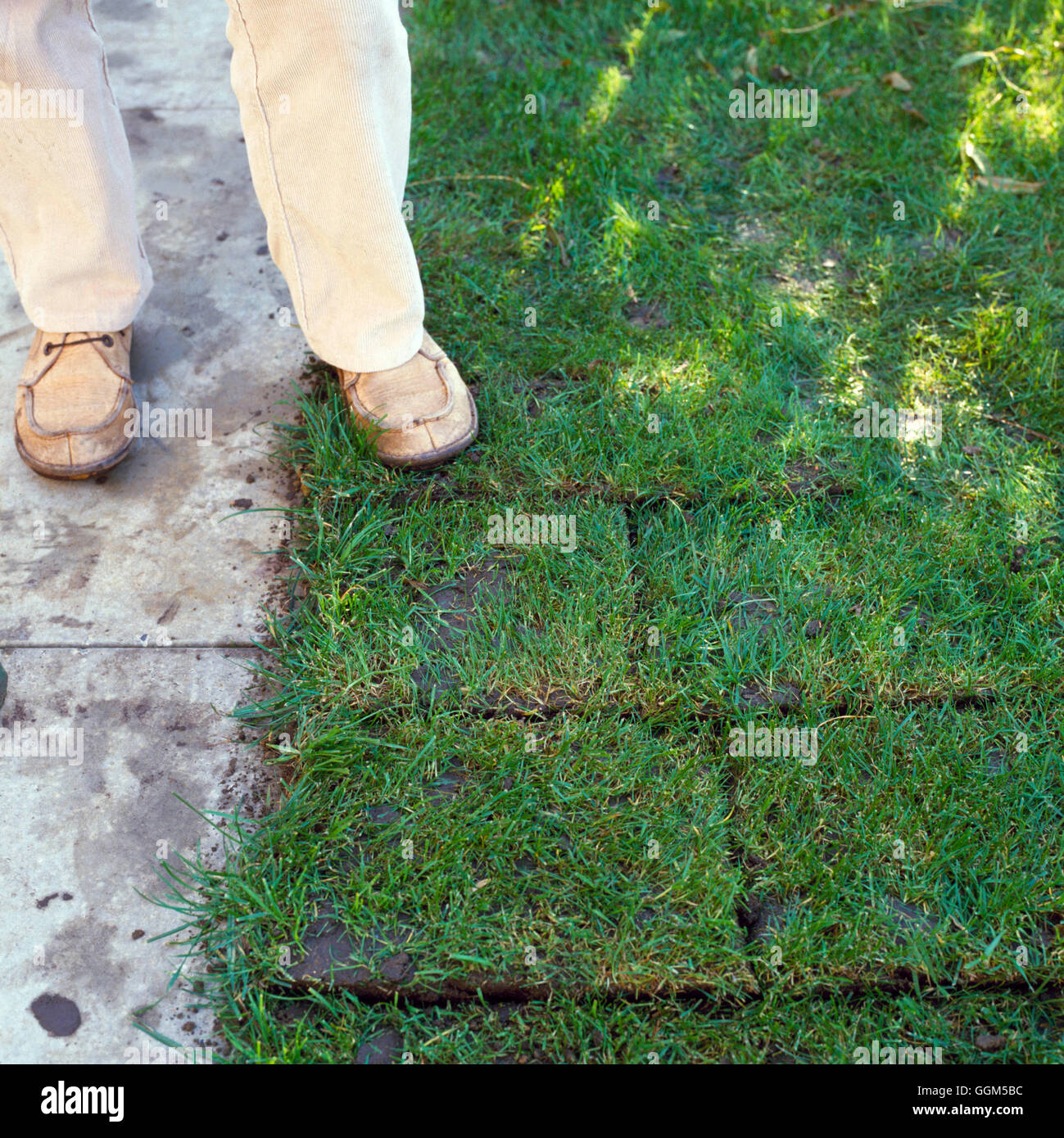 Lawn care hi-res stock photography and images - Alamy