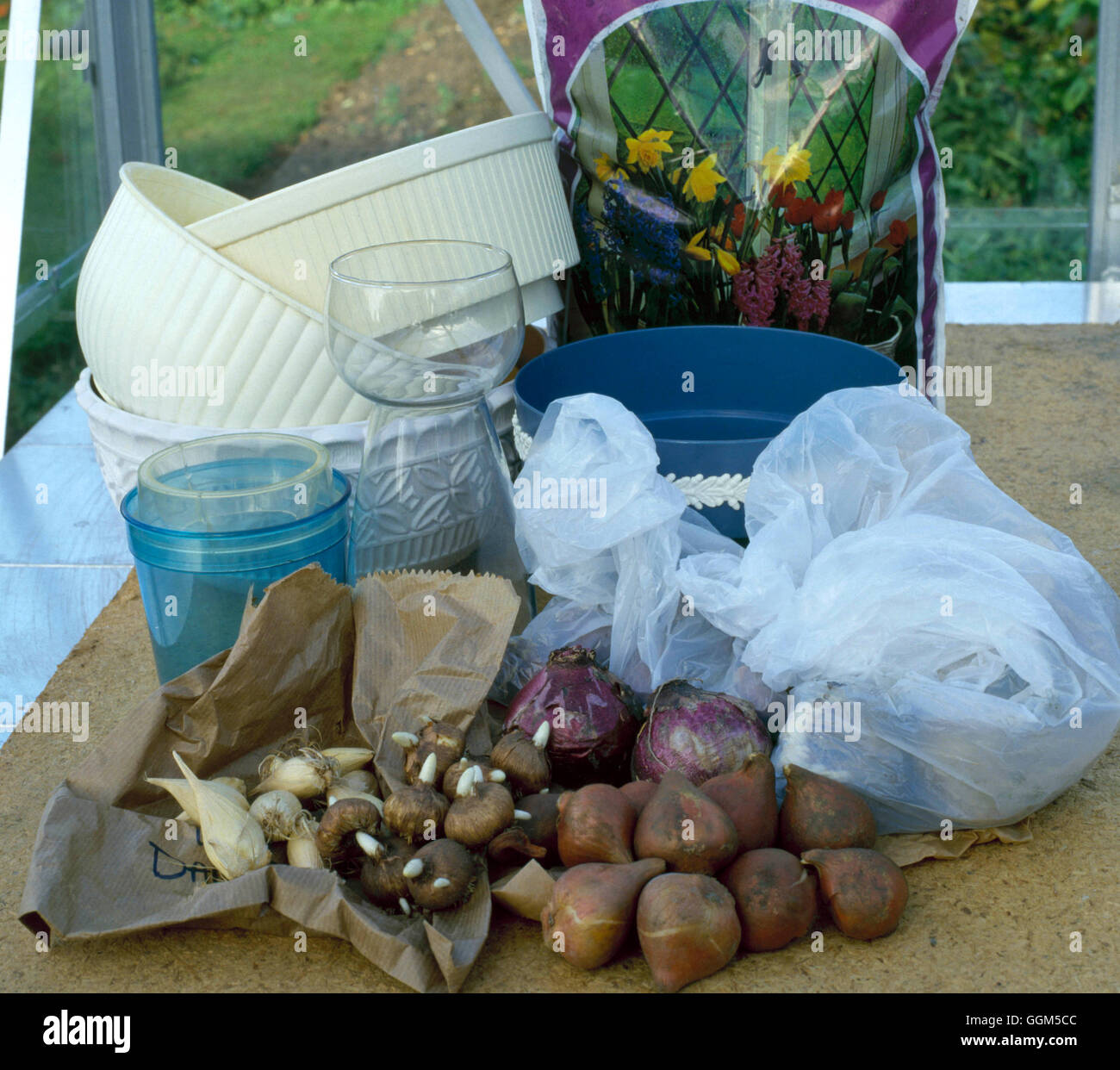 Planting - Bulbs - A selection of equipment for bulb planting ...