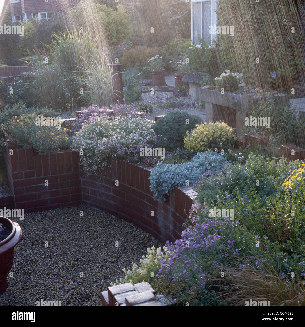 Watering - Raised beds with a sprinkler. TAS072799 Stock Photo - Alamy