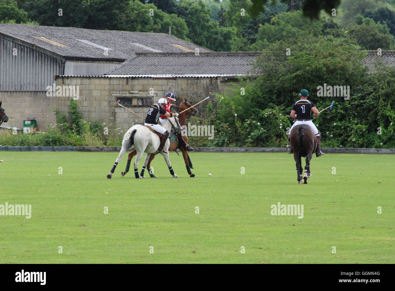 The Royal Windsor Race Course - Pictures Of Horses Stock Photo - Alamy