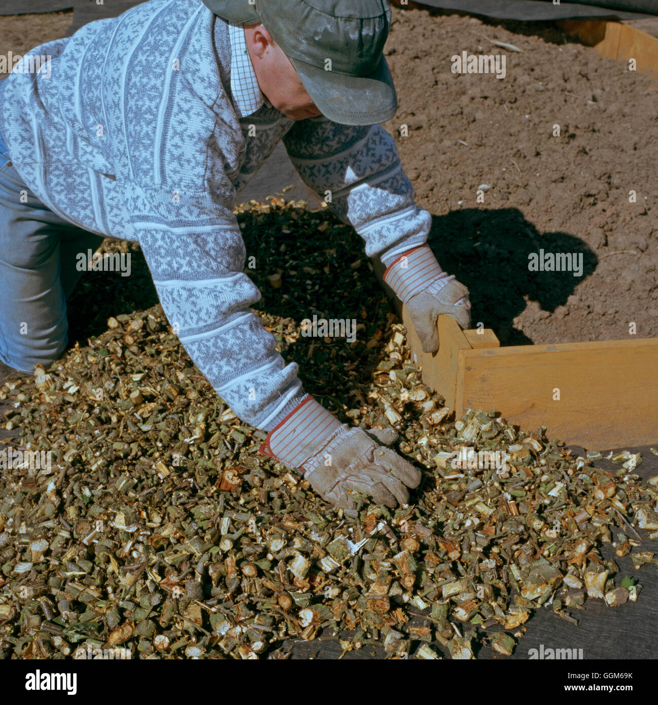 Mulch - using shreddings on top of weed block product for path ...