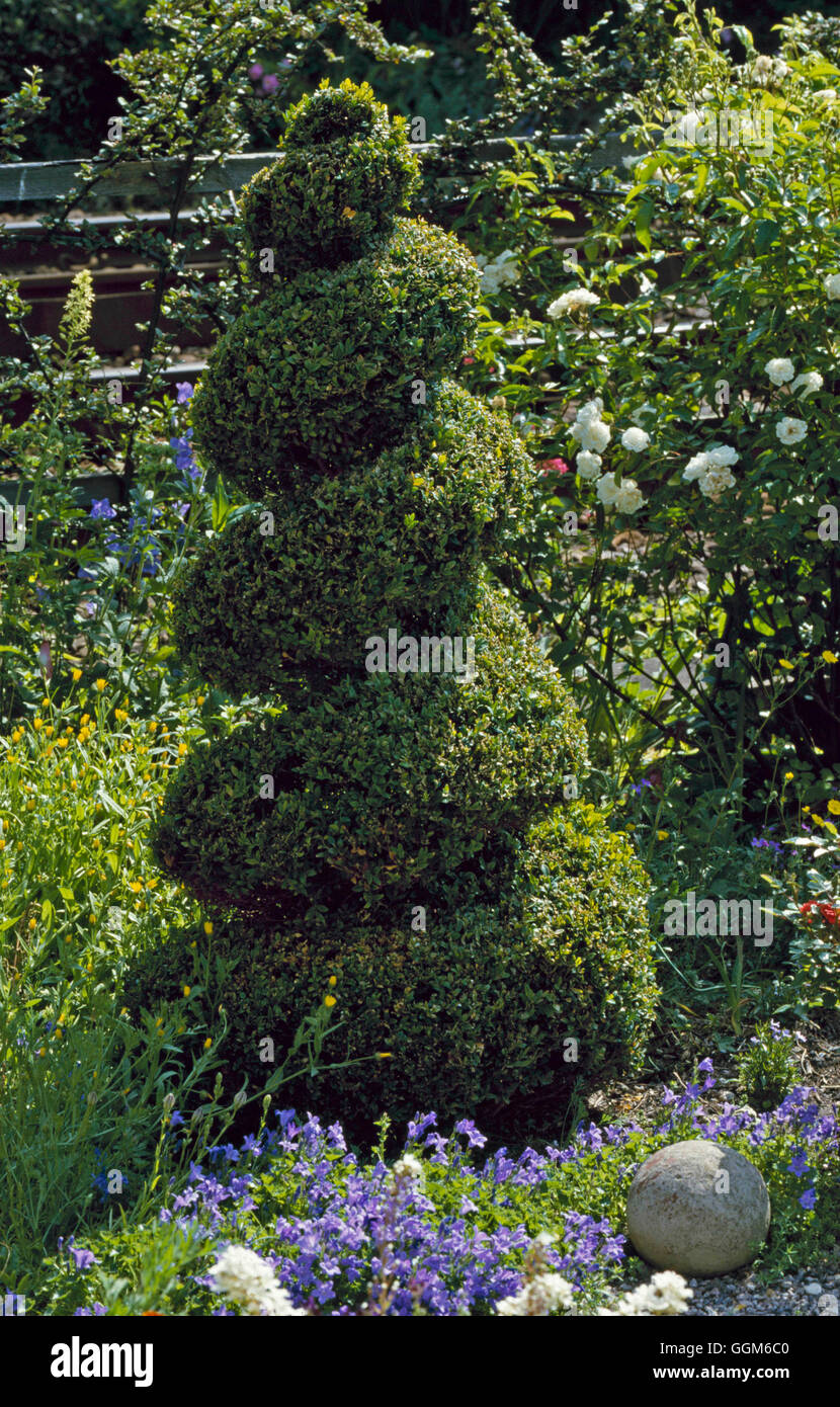 Topiary - (Please Credit: Photos Hort/ The Crossing House Shepreth ...